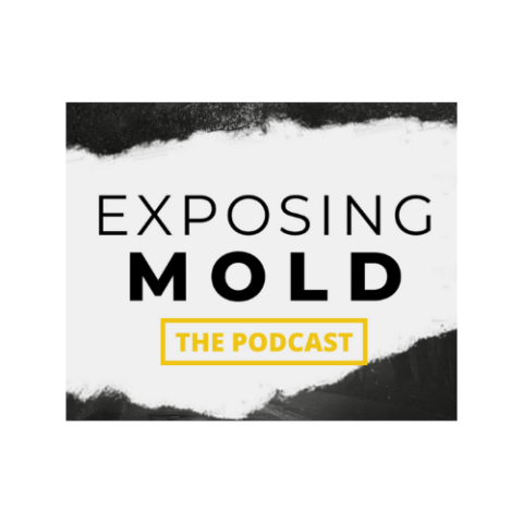 Mold Inspections and Mold Testing for the Greater Houston, TX and ...